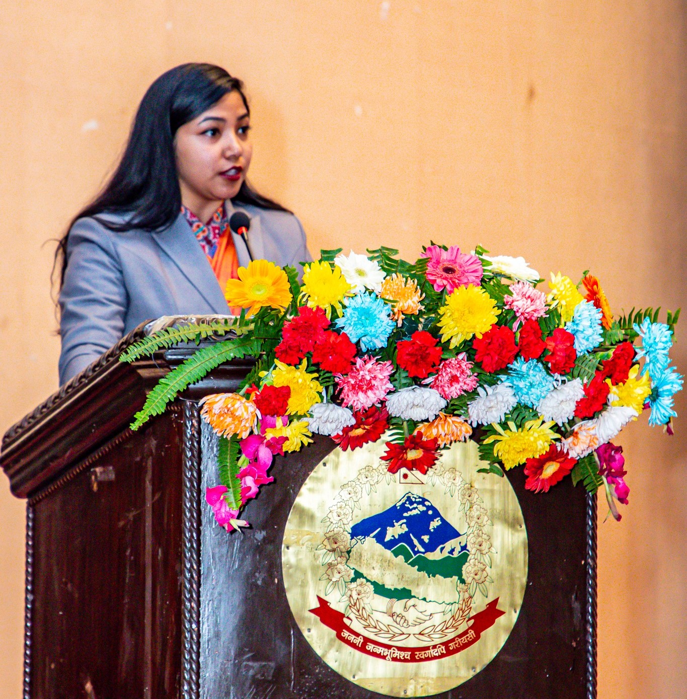Kathmandu Metropolitan City Allocates Budget Of NPR 25 54 Arba For The